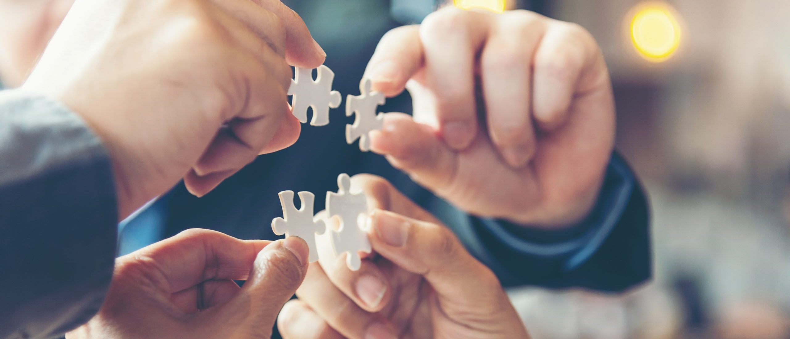 TAPATE model and its implementation in the Czech environment - Institut ...